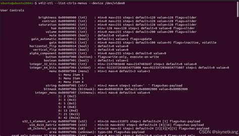 Linux V4l2框架介绍 Csdn博客 Linux V4l2框架介绍 Csdn博客
