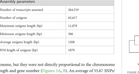 Summary Of The P Huashanica Transcriptome Assembly Download