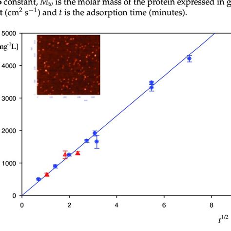 Dependence Of The Normalized Surface Concentration Of Hsa Ncb μm −2 Download Scientific