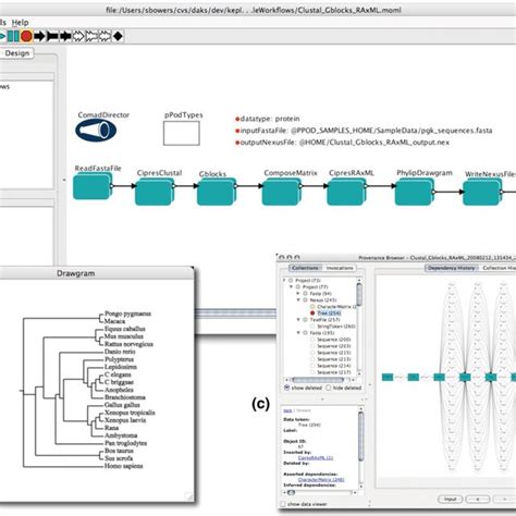 Example Scientific Workflow In The Kepler System A The User Interface Download Scientific
