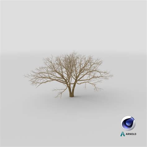 Naked Tree D Model Ds Blend C D Fbx Ma Obj Max Unitypackage Upk Gltf Usdz