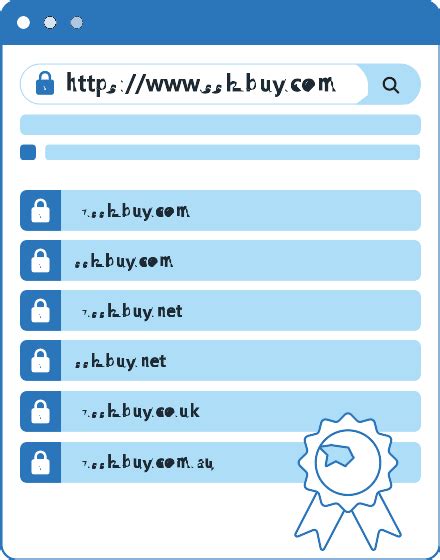 Multi Domain Wildcard Ssl Certificate At 1499 San Wildcard Ssl
