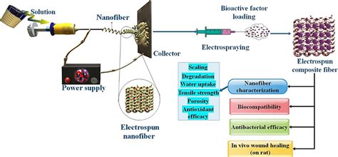 Diagrammatic Representation Of The Fabrication Process For Electrospun Download Scientific