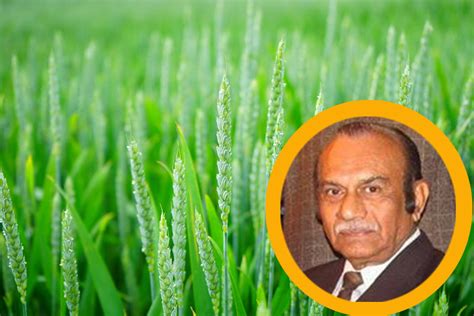 Dr O P Vaish Try For Good