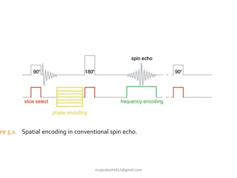 Mri Spin Echo Pulse Sequences Pptx