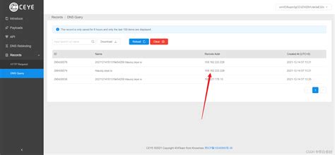 log4j 远程代码执行漏洞检测 fofa搜索log4j漏洞 csdn博客