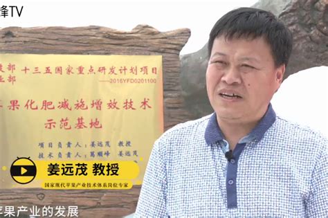 国家现代苹果产业技术体系岗位专家深度解析我国苹果产业发展
