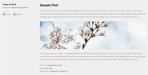 flatiron template squarespace help center