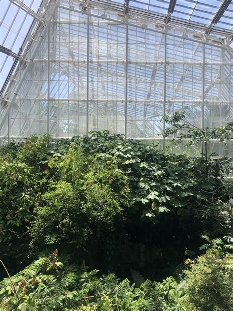 나무 자연 Pixabay의 무료 사진