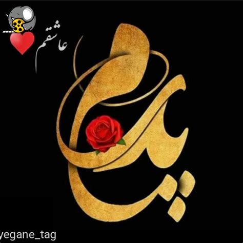 یه ویدیو خاص برای تبریک روز پدر به پدر عزیزتون🤍 فیلو