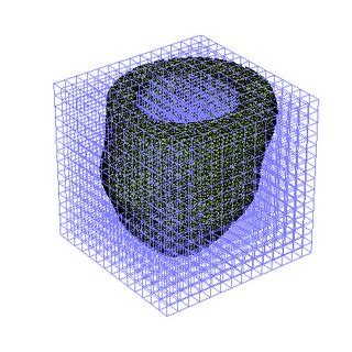 A Cube Grid Based On The Left Ventricle 10 10 10 Grids As An Example Download
