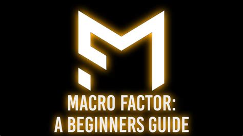 The Beginners Guide to Macrofactor | The Best Food Tracker - YouTube