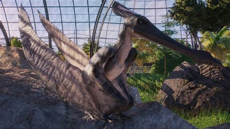 Jurassic World Evolution 2 Cearadactylus By Sideswipe217 On Deviantart