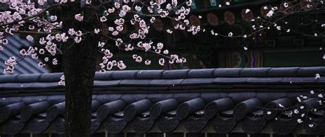 springboot 部署 jar 文件，瘦身优化指南 ！ 知乎