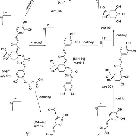Deduced Fragmentation Pathways Of Cads Download Scientific Diagram