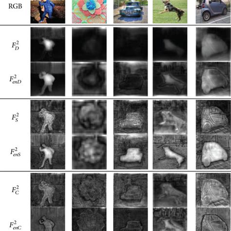 Visualization Of The Rgb D Fusion Module Download Scientific Diagram