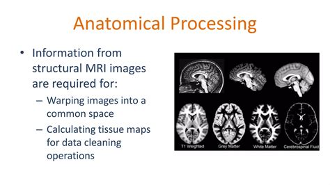 Introduction To Resting State Fmri Preprocessing And Analysis Pptx