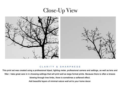 Minimal Nature Print Set Tree Photography Prints Rustic Etsy