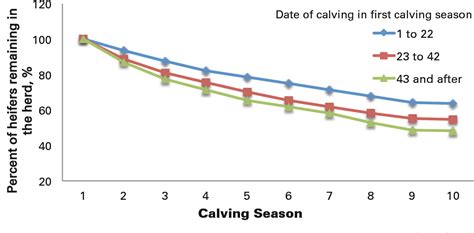 Figure 1 From Effect Of Heifer Calving Date On Longevity And Lifetime