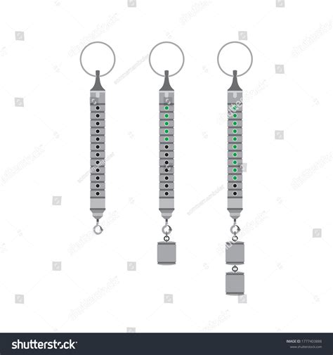 Set Three Dynamometers Different Weights On Stock Vector Royalty Free