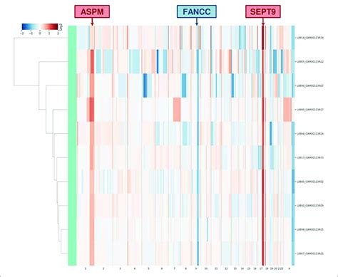 Clustering Analysis Of 10 Ctcs Based On Whole Genome Copy Number