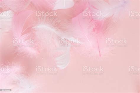 깃털 추상적인 배경입니다 부드러운 Colorfull 깃털 패턴 디자인에 대 한 배경입니다 청록색 일 꿈꾸는 개념에 부드러운 솜 털 깃털 깃털 질감 배경 인테리어 소프트