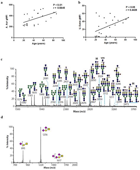 A Plot Of Aleuria Aurantia Aal Lectin Binding By Flow Cytometry