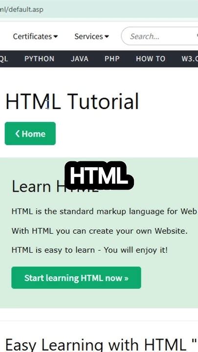 Shorts Coding If You Want To Learn Coding In 2025 Coding2025 Learning Python Programing
