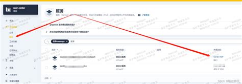 k8s服务节点端口 csdn博客