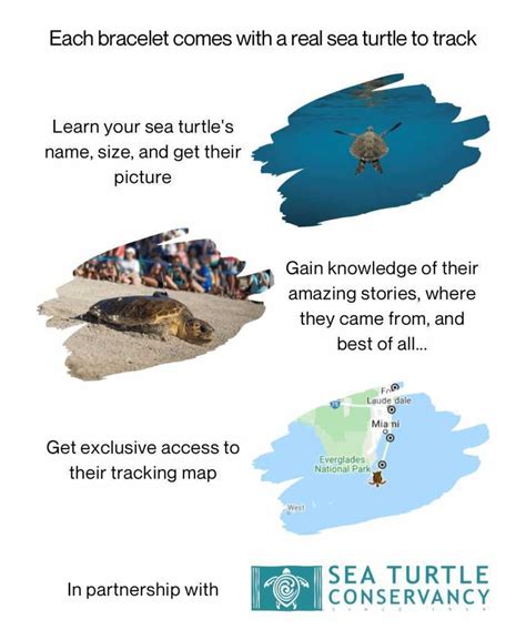 Fahlo Turtle Tracking Bracelets Limited Edition Rope Style Set Of 4 Airauctioneer