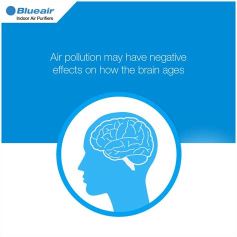 Impact Of Ambient Fine Particulate Matter On Brain Health