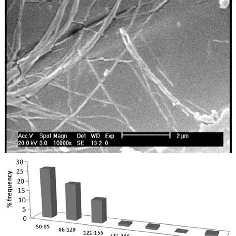 sem photograph and the corresponding particle size distribution