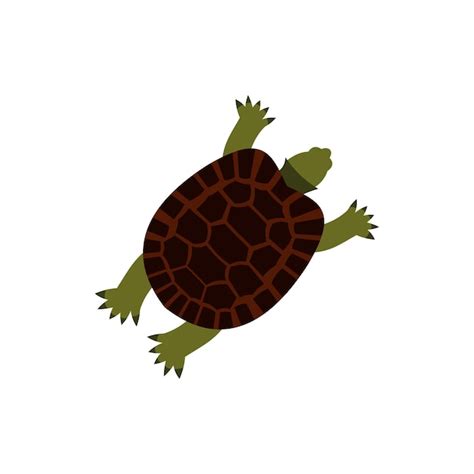 Premium Vector Turtle Icon In Flat Style Isolated On White Background Premium Vector Turtle Icon In Flat Style Isolated On White Background