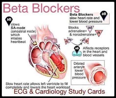 NURSES NOTE Na Instagramie Beta Blockers Nursesnote Nurse Pharmacology Nursing Nursing