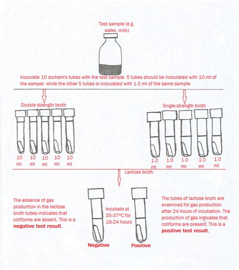 Test Stages Of Mpn Method Microbiology Class