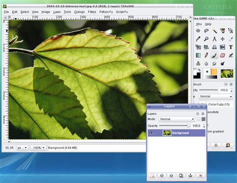 Learning GIMP Create Water Drops Softpedia