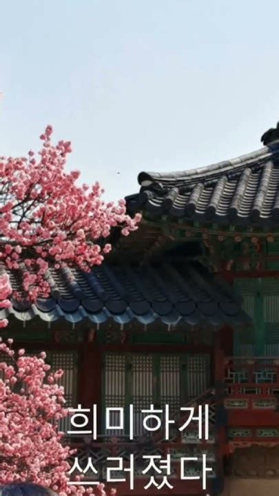 만개화 Cover Youtube