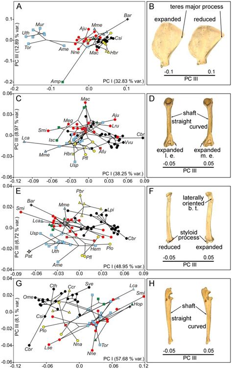 Bivariate Graphs Depicted From The First And Third PCs Calculated On Download Scientific