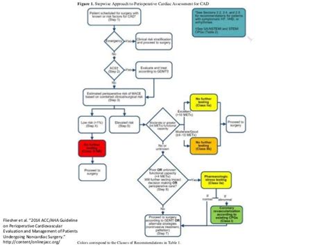 Non Cardaic Surgery Preoperative Cardiac Evaluation Aha Esc Guideline