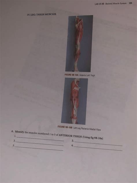 Solved III Lab Activity Identification Of Nerve Chegg