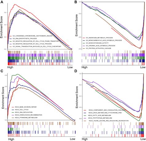 A Go Term Analysis Revealed Five Positively Correlated Terms B Go Download Scientific