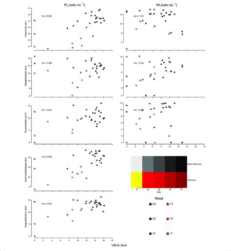 Correlation Between Estimated Proportion Of Cells Of The