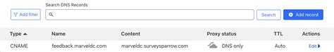 Adding DNS Records In Cloudflare SurveySparrow Adding DNS Records In Cloudflare SurveySparrow