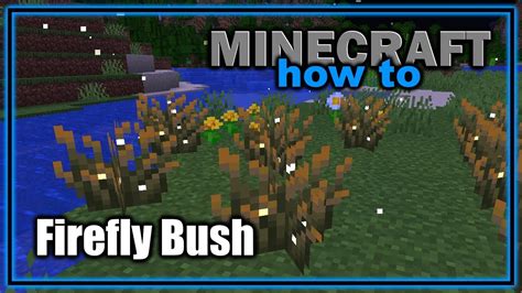 Everything You Need To Know About The Firefly Bush 1 21 5 Easy