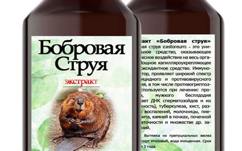 Бобровая струя: что это такое и для чего применяется цена?