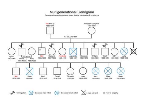 Immigration Symbol Genogram Genogram Symbols Sheet And Example Free