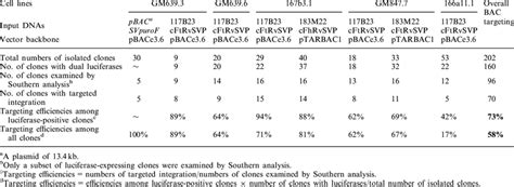 Chromosomal Targeting Of Bac Vector And Bac Reporter Constructs