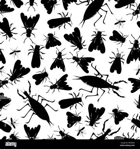 Insect Seamless Pattern Stock Photo Alamy