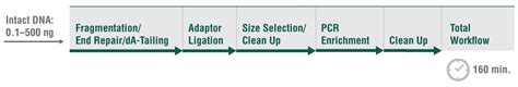 Library Preparation For Mgi® Neb Library Preparation For Mgi® Neb