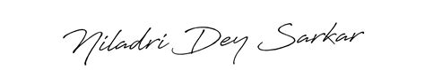 80 Niladri Dey Sarkar Name Signature Style Ideas Free Esignature